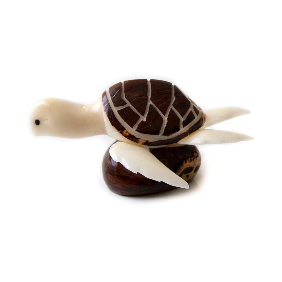 Tagua By Soraya Cedeno